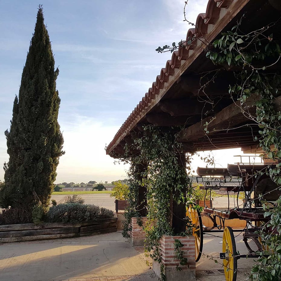 Finca Campo Enmedio – Un espacio en plena naturaleza