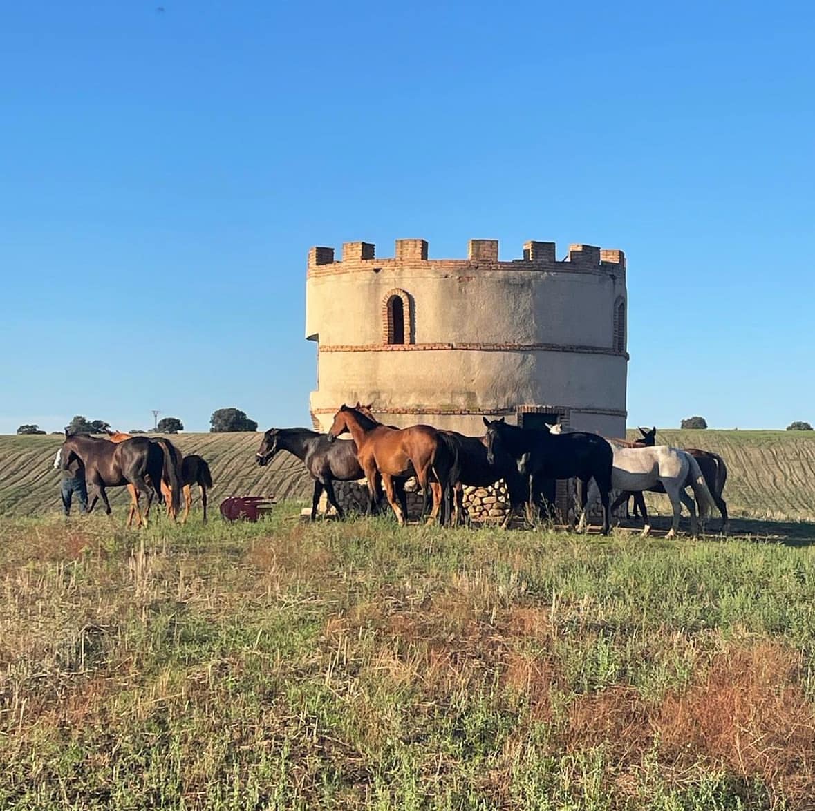 Finca Campo Enmedio – Un espacio en plena naturaleza